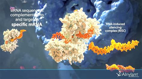 Rnai（rna干扰）技术的原理腾讯视频