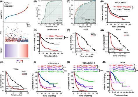 Pdrg1 Is A Negative Prognosticator For Survival In Glioma A Risk