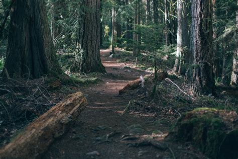 Salsa Timberjack Review Value Meets Versatility