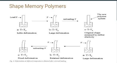 Solved Shape Memory Polymers Chegg Com