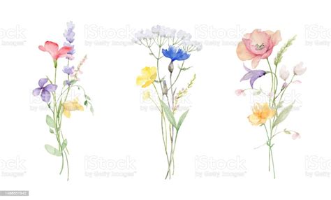 야생화와 나비 수채화 벡터 꽃다발은 흰색 배경에 분리되어 있다 아름 답게 손으로 그린 꽃 그림입니다 봄 또는 여름 장식 웨딩 디자인 문구류 초대장 엽서에 적합합니다 꽃