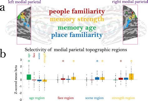 Distribution Of Memory Content In The Medial Parietal Cortex A The Download Scientific Diagram