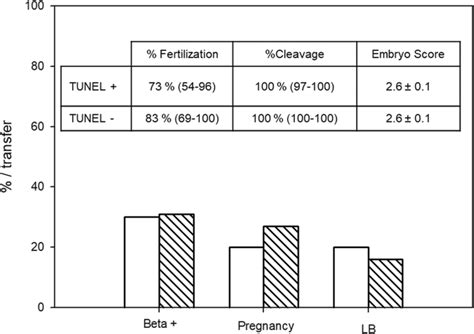 Icsi Results And Sperm Dna Fragmentation Patients Were Classified As