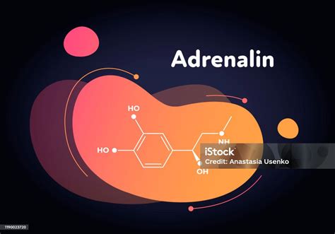 벡터 호르몬 유체 현대 배너 아드레날린 구조는 블랙에 액체 그라데이션 트렌디 한 모양 부신 반응 시스템과 관련된 호르몬 교육 프리젠 테이션 포스터를위한 디자인 분자에 대한