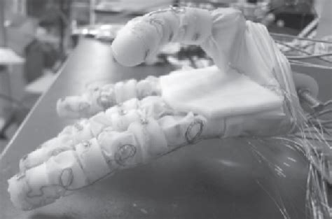 Figure 2 1 From Neuromorphic And Brain Based Robots Semantic Scholar