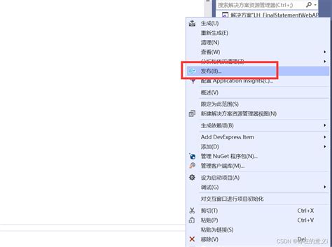 记录：如何把cwebapi接口发布部署到iisc写的后端接口怎么挂到iis上 Csdn博客