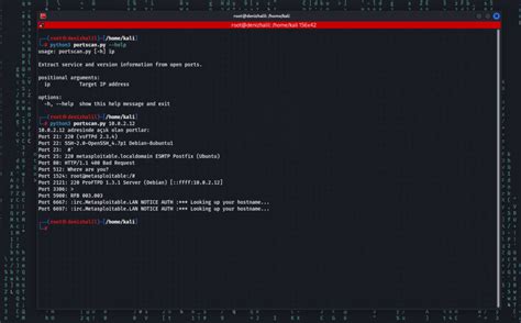 How To Retrieve Port And Version Information Using Python Denizhalil