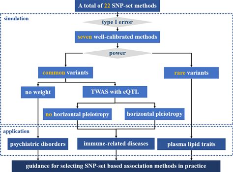 Statistical Analysis Framework For The Theoretical And Application Download Scientific Diagram