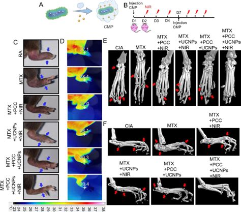 Treatment Effect Chart Of The CMP System A Preparation Of The CMP Download Scientific