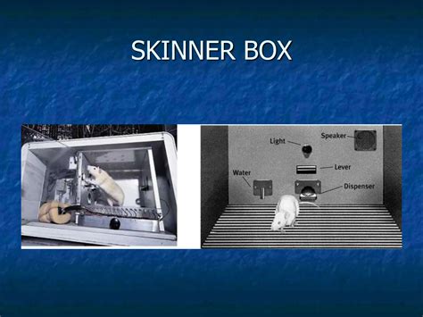 Operant Conditioning In Psychology Of Skinner Ppt