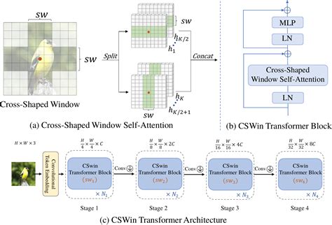 Github Microsoftcswin Transformer Cswin Transformer A General Vision Transformer Backbone