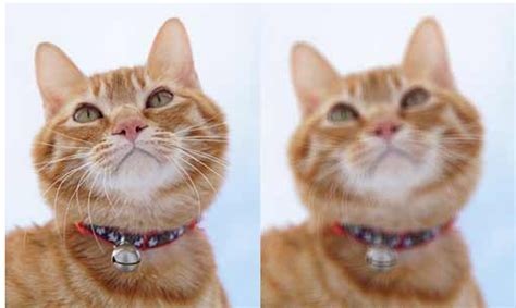 Python 学习笔记（四）：常用内建模块和第三方模块python Pickle、json、encode、decode总结笔记 Csdn博客