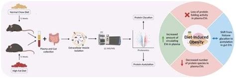 Extracellular Vesicles In Clinical Applications Evca On Linkedin