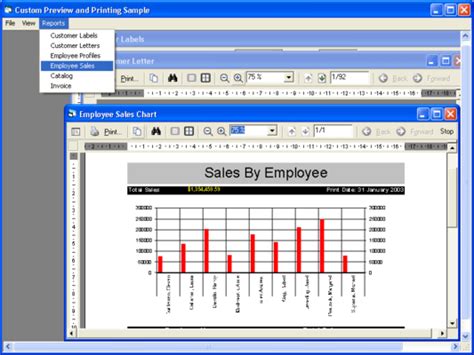 Activereports 2 For Activexcom Screenshots