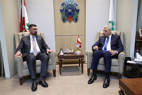 Lebanese General Security Activities