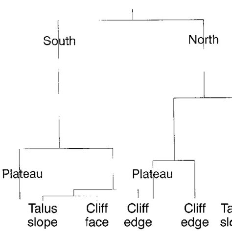 Cluster Analysis Dendrogram Of Bird Species Composition Among 46 Plots Download Scientific