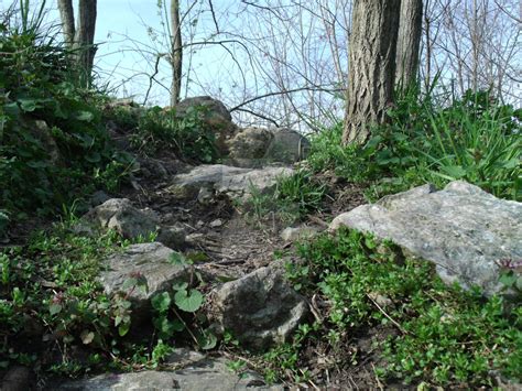 Pathing Issues By Audensmilitus On Deviantart