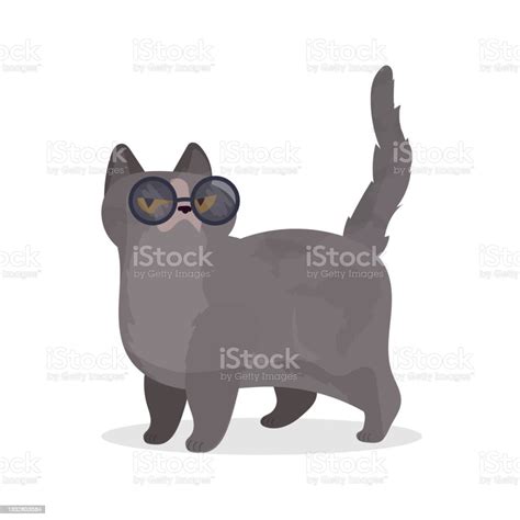 안경이 있는 재미있는 고양이 진지한 표정으로 고양이 스티커 스티커 티셔츠 및 엽서에 적합합니다 격리 벡터 가축에 대한 스톡 벡터 아트 및 기타 이미지 Istock