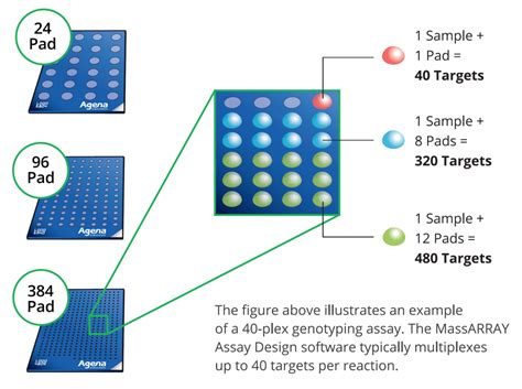 Agena Massarray 豐技生技