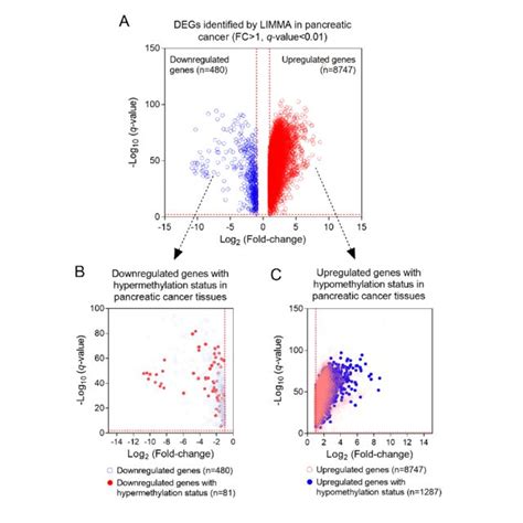 The Process Of Screening Candidate Genes A The Degs In Pc And Normal Download Scientific