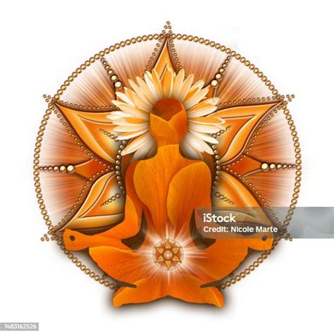 요가 연꽃 포즈의 성례 차크라 명상 Svadhisthana 차크라 기호 앞에서 엉치 부위에 대한 스톡 벡터 아트 및 기타 이미지