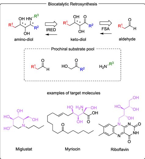 Proposed Fsa Ired Cascade For The Synthesis Of Amino Diol Targets And Download Scientific
