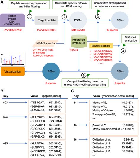 Pepquery Workflow A The Pepquery Workflow Involves Five Major Steps