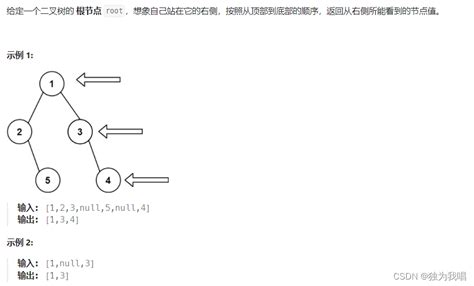 leetcode 热题 100（六）：25 k 个一组翻转链表、230 二叉搜索树中第k小的元素、199 二叉树的右视图 csdn博客