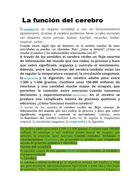 La Función Del Cerebro Pdf Cerebro Hemisferio Cerebral