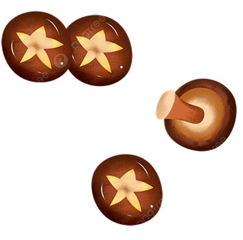 표고버섯 야채 표고버섯 표고 야채 Png 일러스트 및 Psd 이미지 무료 다운로드 Pngtree