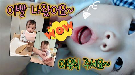 육아 브이로그 L 이빨 나왔어요~ 이유식 주세요~ L 생후 6개월 첫 이빨이 나온 아기 L 이유식 먹어볼까 Youtube