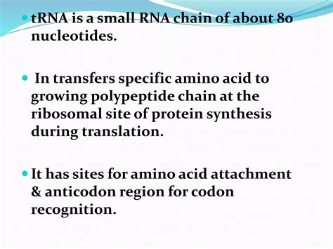 Various Types Rna Pptx