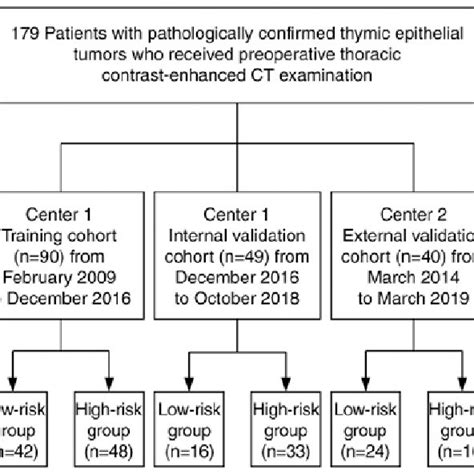 Flowchart Of The Patient Selection Process Ct Computed Tomography
