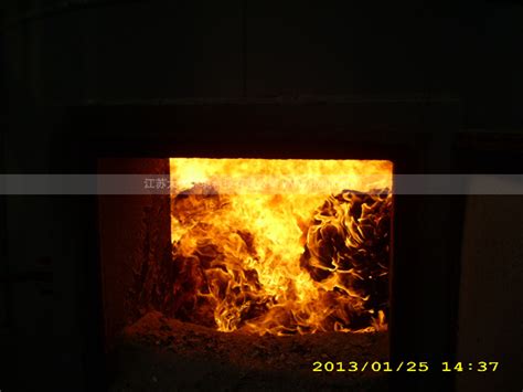 江苏恒康固定炉排焚烧炉 固废焚烧炉 废液焚烧炉 江苏大信环境科技有限公司