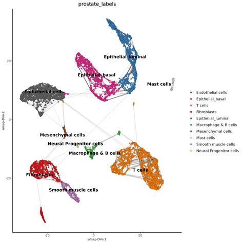 10x Single Cell Rna Sequencing Giotto Suite 33 Documentation