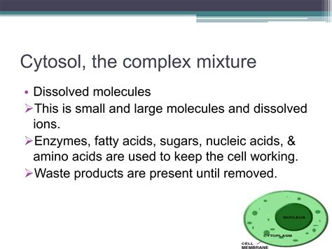 Cytoplasm Ppt Introduction Structure And Function Pptx