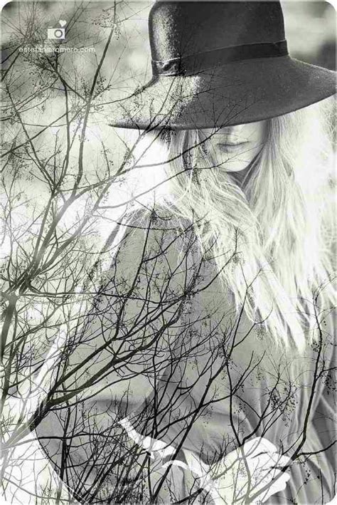 قناری ذهن خیالم عکس ویسگون