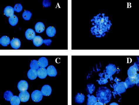 Th2‐oriented Profile Of Male Offspring T Cells Present In Women With
