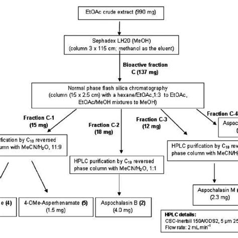 Schematic Diagram For The Compounds Isolation Protocol Download Scientific Diagram