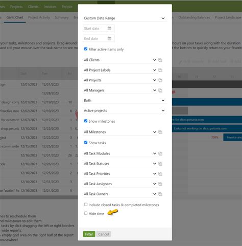 Can You Hide The Hours On The Gantt Chart Intervals Help Documentation