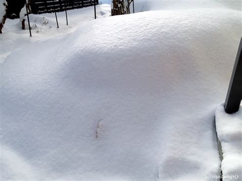 大雪の朝 夕刊マダム