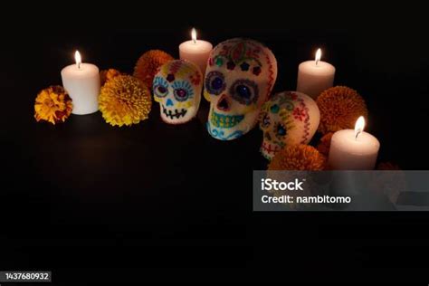 디아 데 로스 무에르토스 죽은 자의 날 촛불이 달린 설탕 두개골과 켐파수칠 꽃 제단 장식 공포 무서움에 대한 스톡 사진 및 기타 이미지 Istock