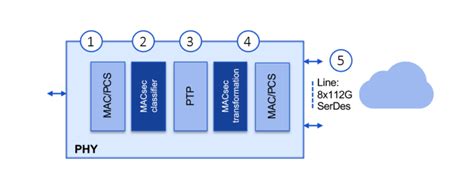 MACsec Explained Securing Data In Motion What How Why