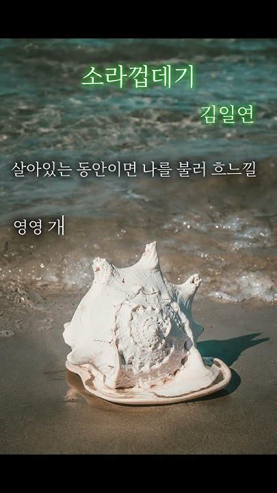 소라껍데기 김일연 시 Youtube