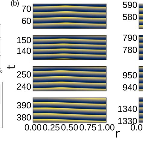Concentration Profiles Of Intermediate Species X For Slightly