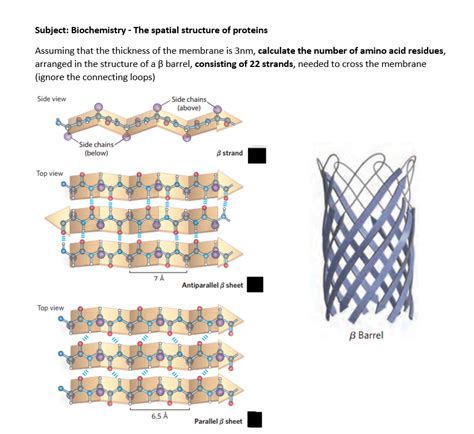 Solved Subject Biochemistry ﻿the Spatial Structure Of