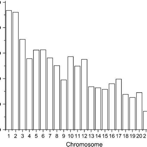 —distribution Of The Number Of Dinucleotide Repeat Loci From The Gdb On Download Scientific