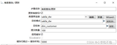 etl第八章实践项目——构建dvd租赁商店数据仓库（sakila样本数据库） 构建dvd租赁商店数据仓库实训 sakila数据库建立 csdn博客