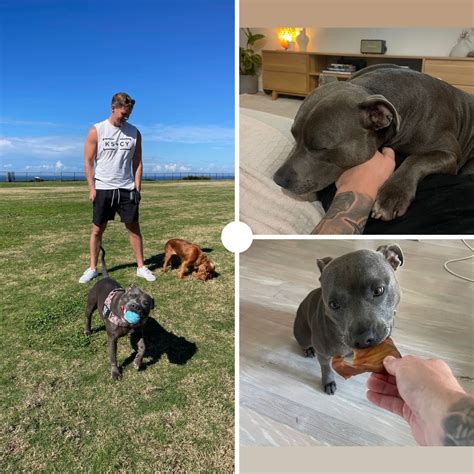 👨‍🦰joe Butler On Linkedin Datajobs Dotnetengineer Typescriptjobs Architects Growthhacker