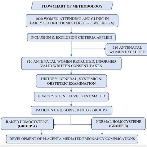 Flowchart Showing Schematic Representation Of The Study Download